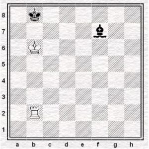 Rook vs Bishop - Chess Simplified