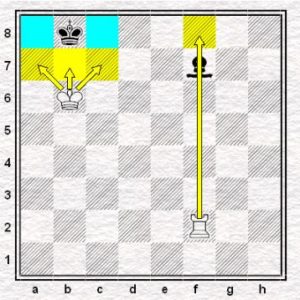 Rook vs Bishop - Chess Simplified