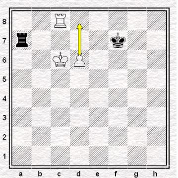 Short side - Long side - Chess Simplified