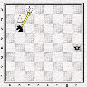 King and pawn vs King and Knight - Chess Simplified