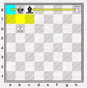 Rook vs Bishop - Chess Simplified