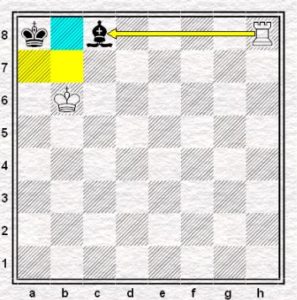 Rook vs Bishop - Chess Simplified